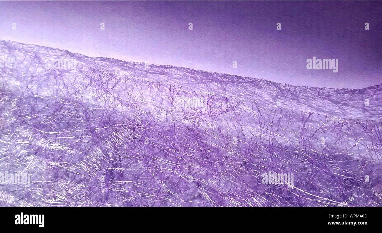 Fiber Sheet High Resolution Stock Photography and Images - Alamy