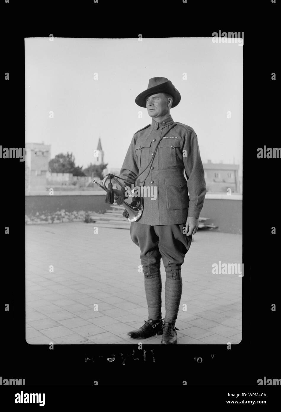 Australian imp hi-res stock photography and images - Alamy