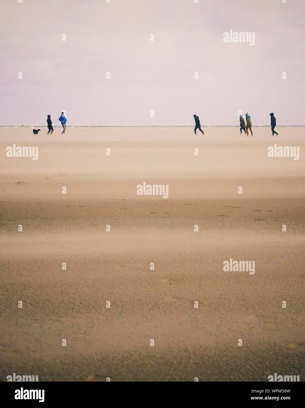 Sandstorm High Resolution Stock Photography and Images - Alamy