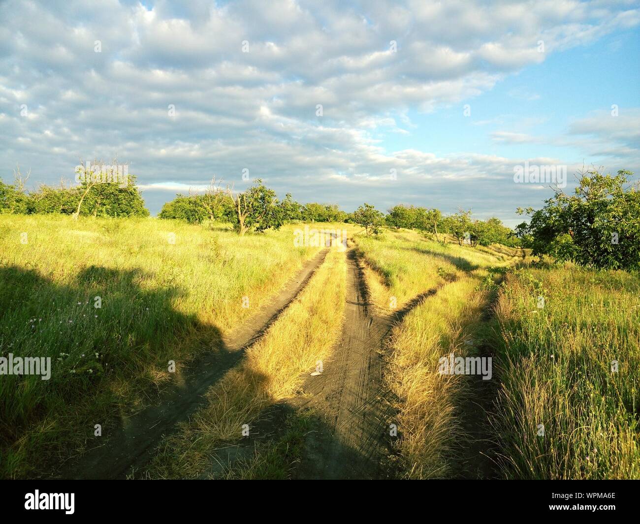 Dirt Road Passing Through Field Stock Photo - Alamy