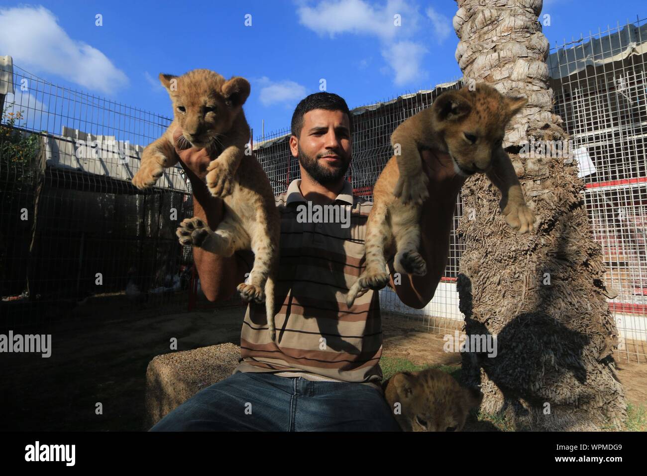 Rafah, The Gaza Strip, Palestine. 9th Sep, 2019. Rafah zoo in the ...