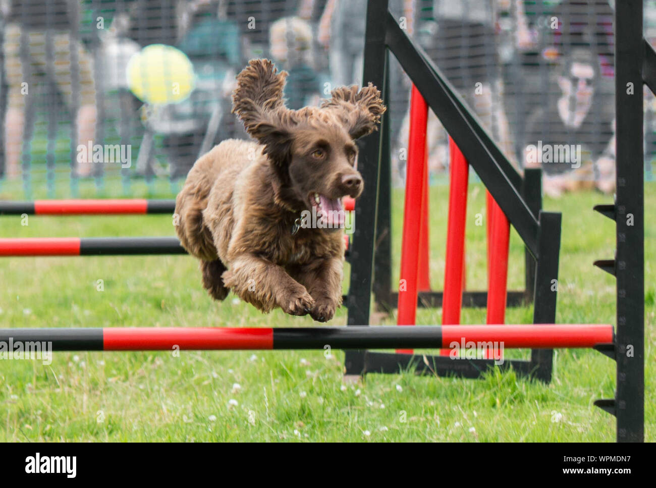 Pole jumping hi-res stock photography and images - Alamy
