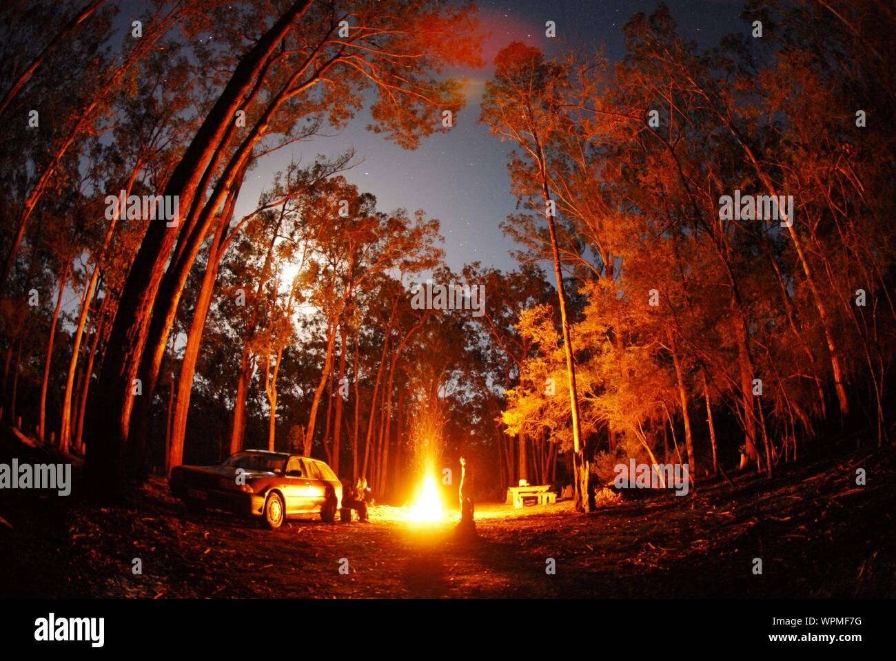 Woodland bonfire hi-res stock photography and images - Alamy