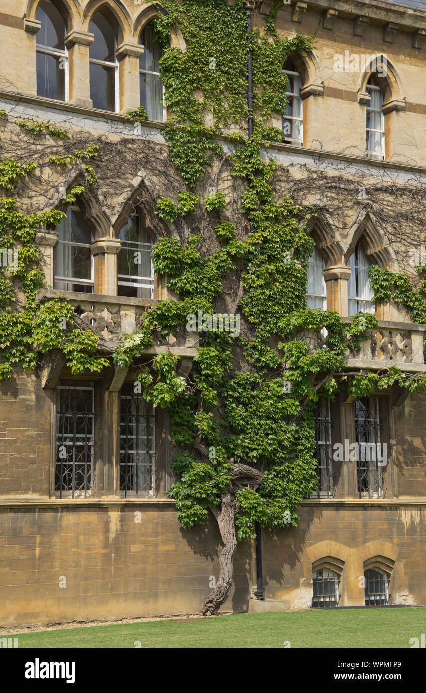 Christ Church College at the University of Oxford,Oxford,England,UK ...