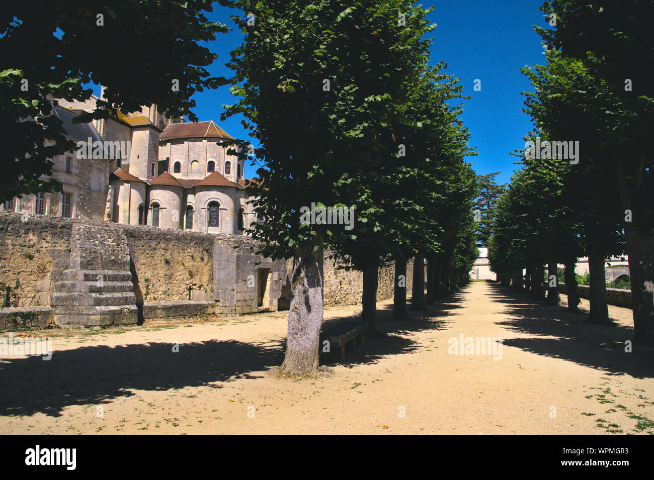 Abbey Church of Saint-Savin sur Gartempe in the Vienne region in France ...