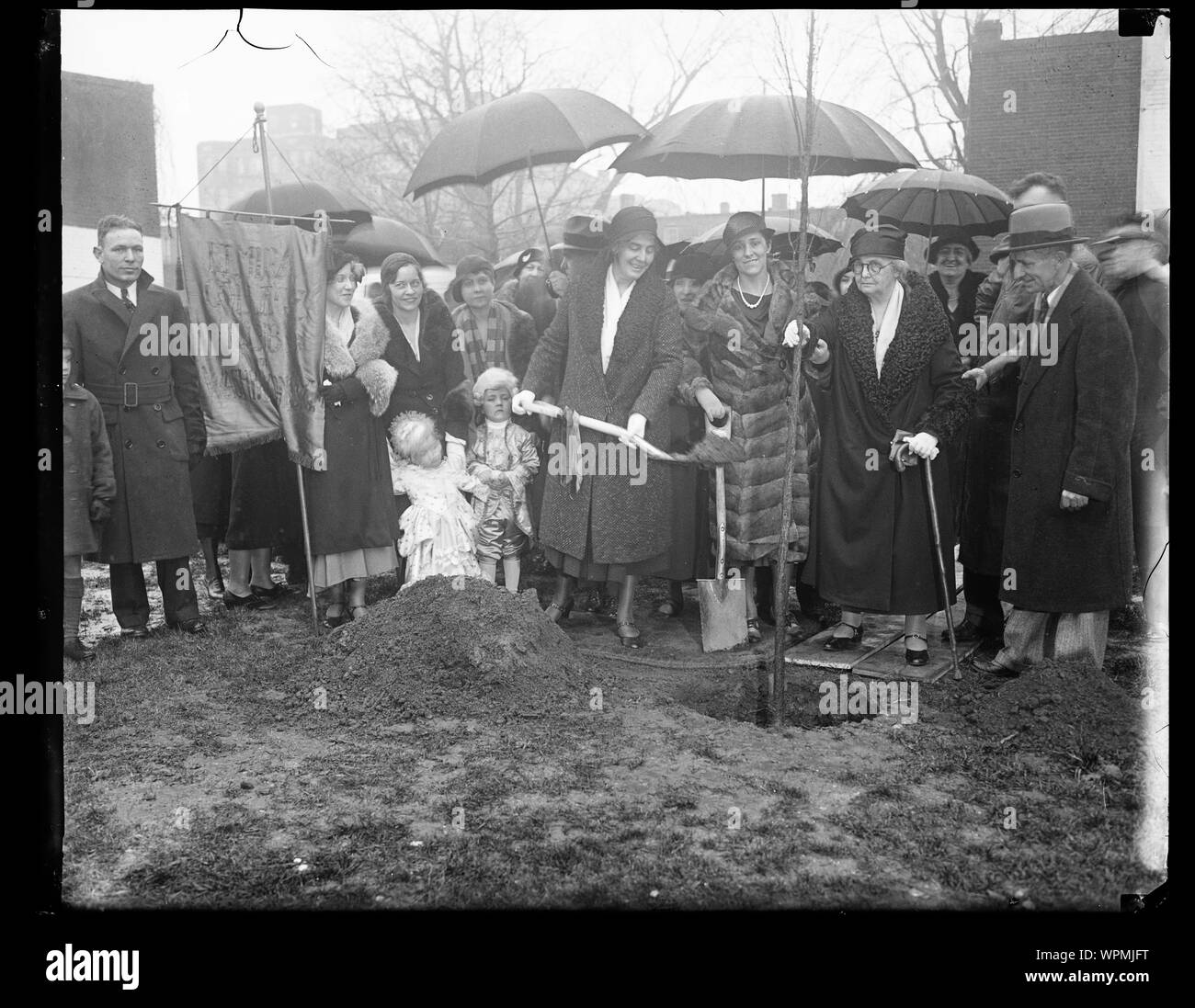 Lou Hoover and group planting tree Stock Photo - Alamy