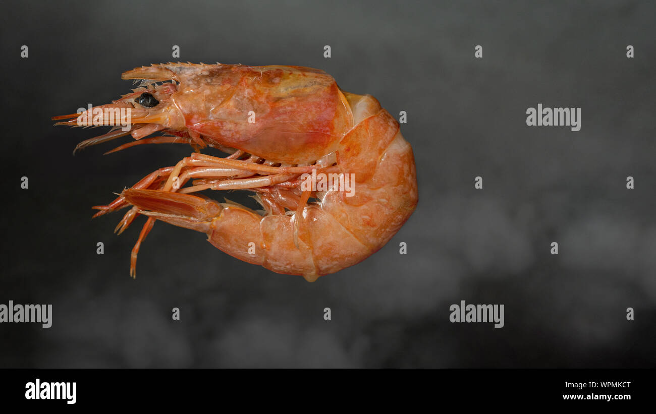 Fine selection of jumbo shrimps for dinner on stone plate Stock Photo ...