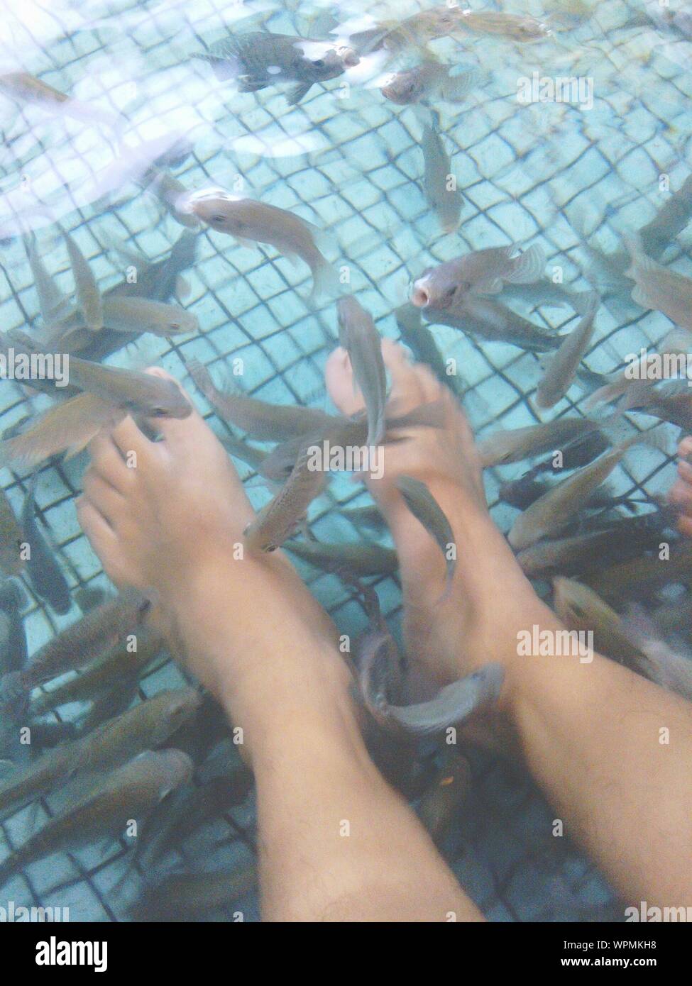 Fish massage hi-res stock photography and images - Alamy