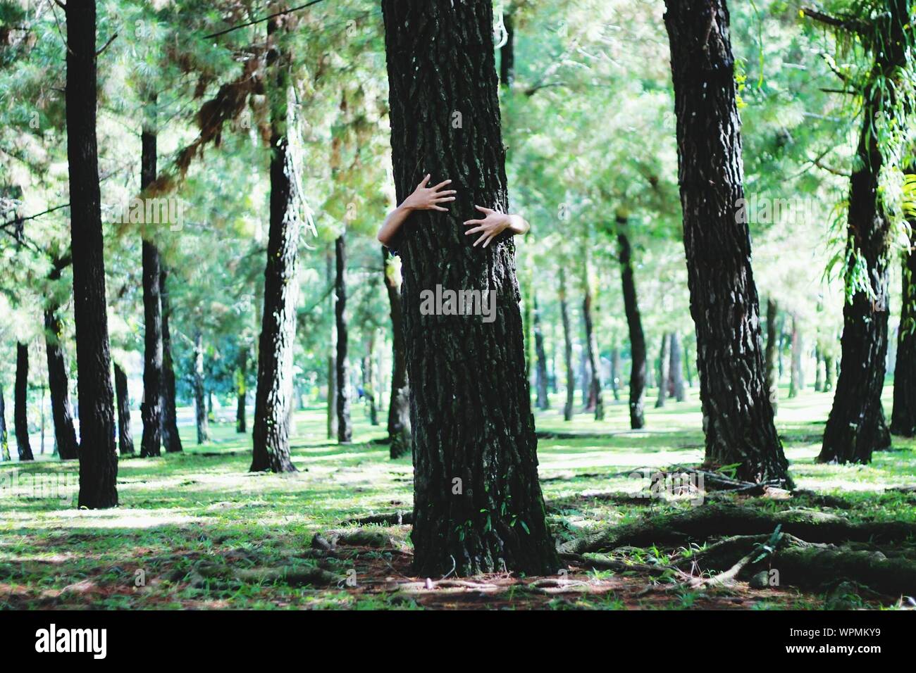 Human body tree hi-res stock photography and images - Alamy