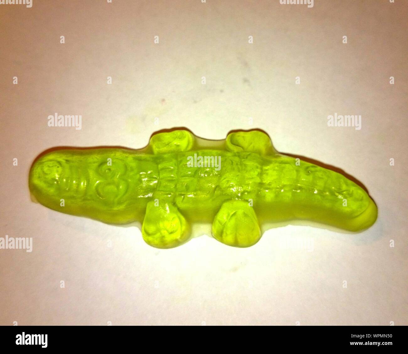 Green crocodile hi-res stock photography and images - Alamy