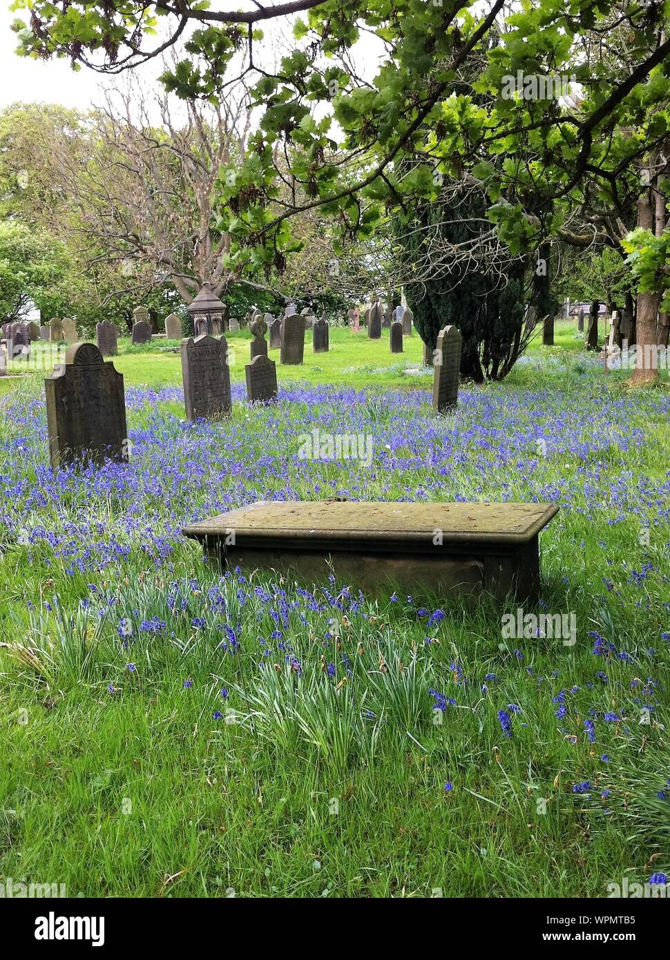 Green grass and cemetery hi-res stock photography and images - Alamy