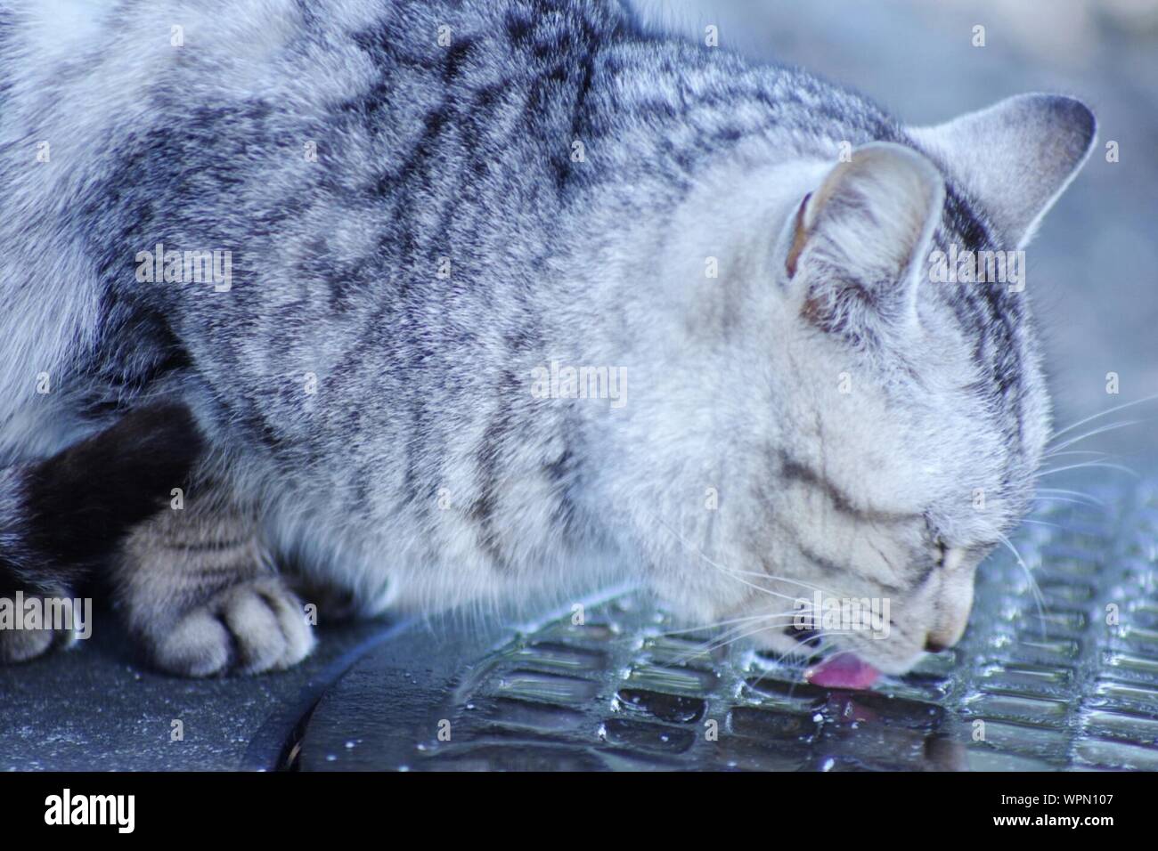 Close up lid manhole hi-res stock photography and images - Alamy