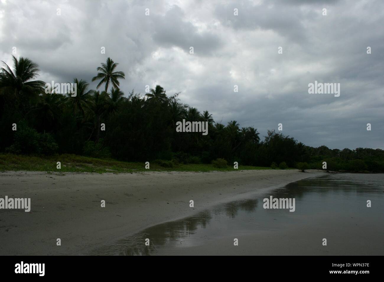 Mangrove Beach at Bloomfield Track in North Queensland, Daintree ...