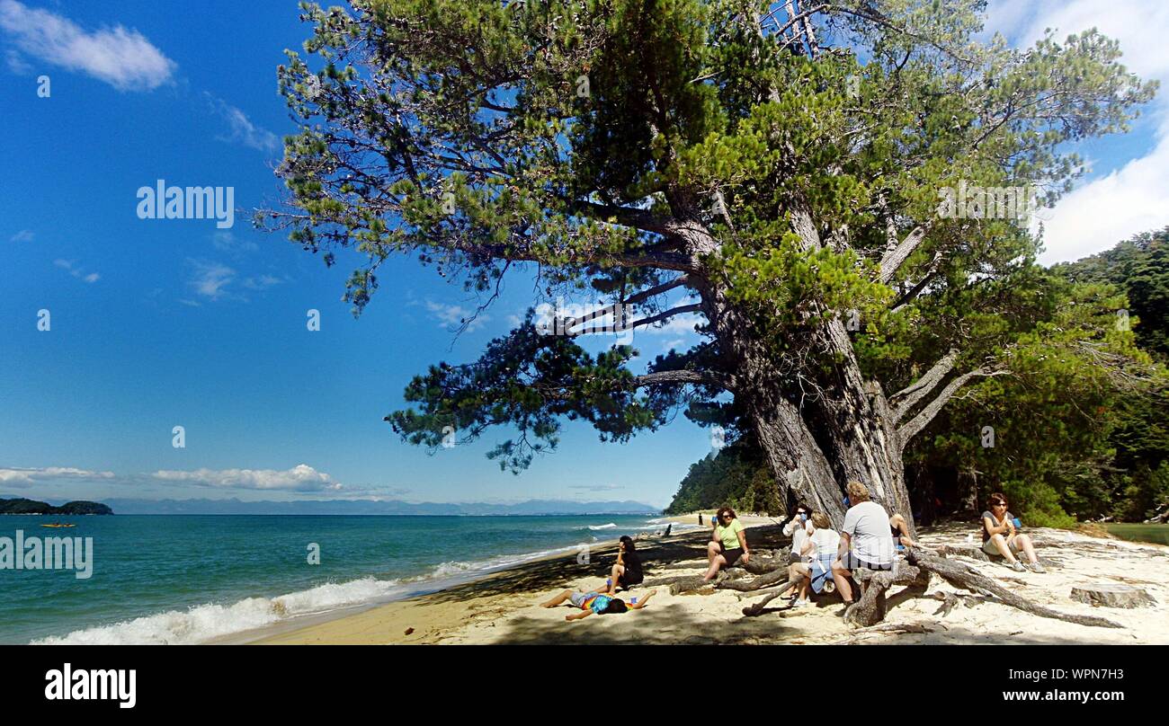 Group of people sitting under tree hi-res stock photography and images ...
