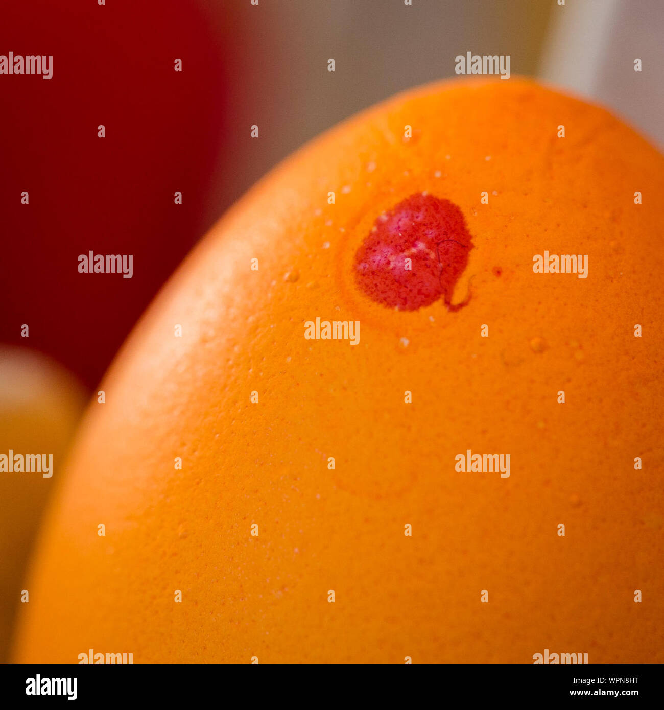 Spot of life hi-res stock photography and images - Alamy