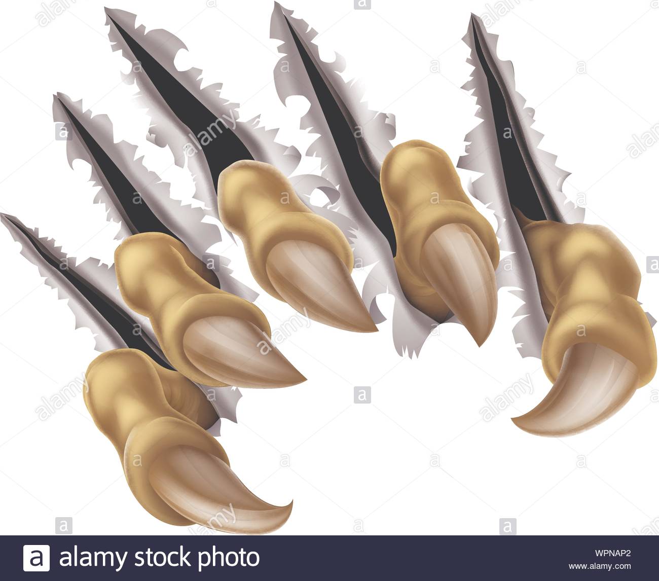 Monster Claw Breaking Through Metal High Resolution Stock Photography ...