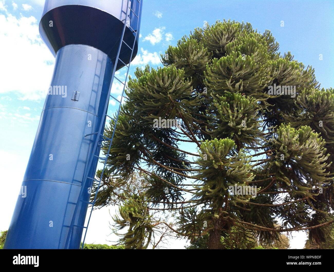 Green tree water tower hi-res stock photography and images - Alamy