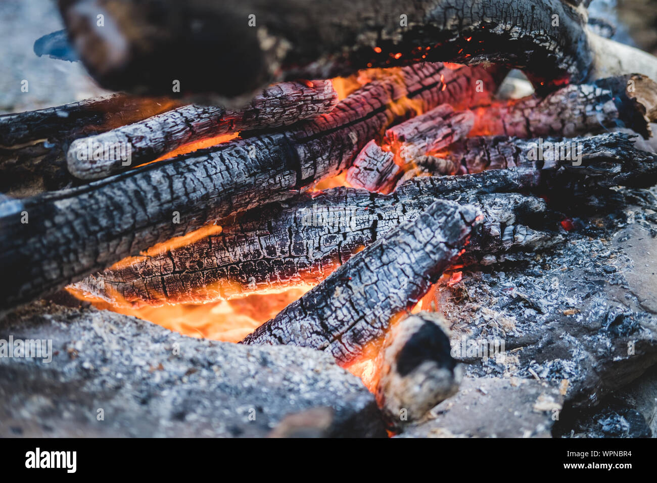 Smoldering forest hi-res stock photography and images - Alamy