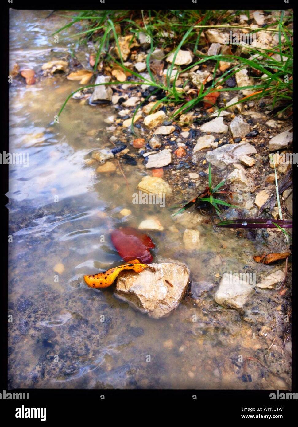 Small rocks hi-res stock photography and images - Alamy