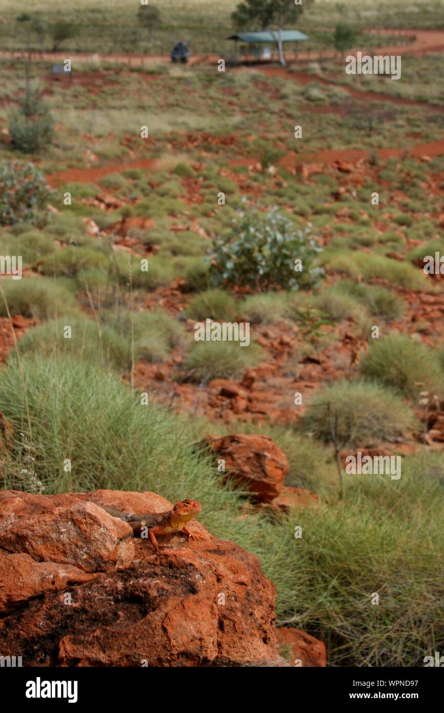 Wolfe Creek Meteorite Crater, Western Australia Stock Photo - Alamy