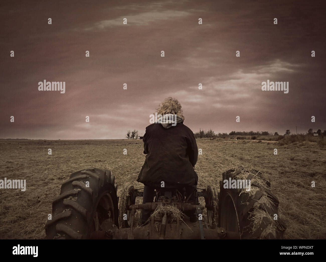 Farm woman on tractor hi-res stock photography and images - Alamy