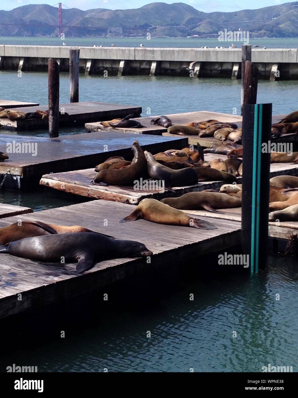 Wooden floating platform hi-res stock photography and images - Alamy