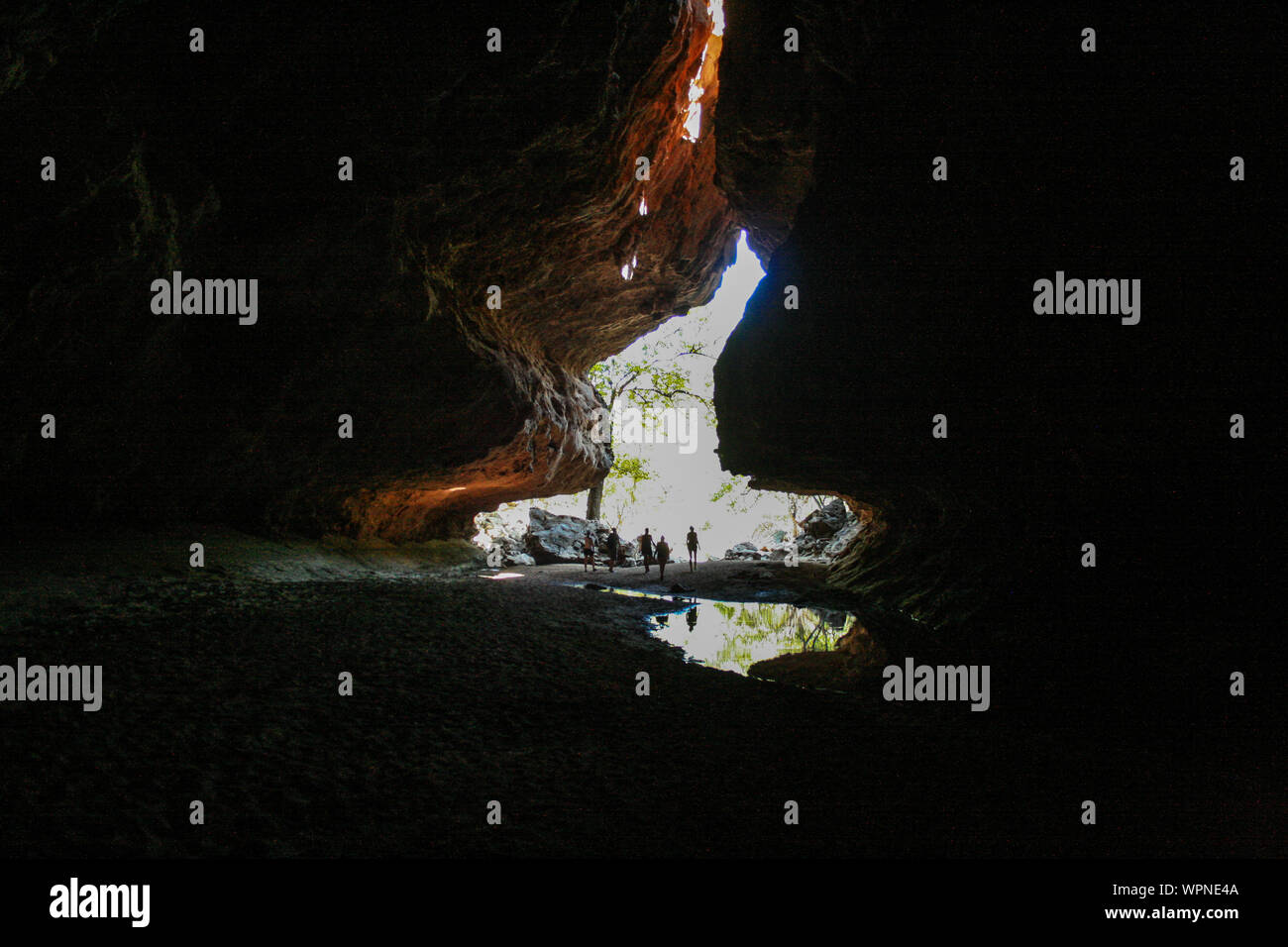 Crocodiles in western australia hi-res stock photography and images - Alamy