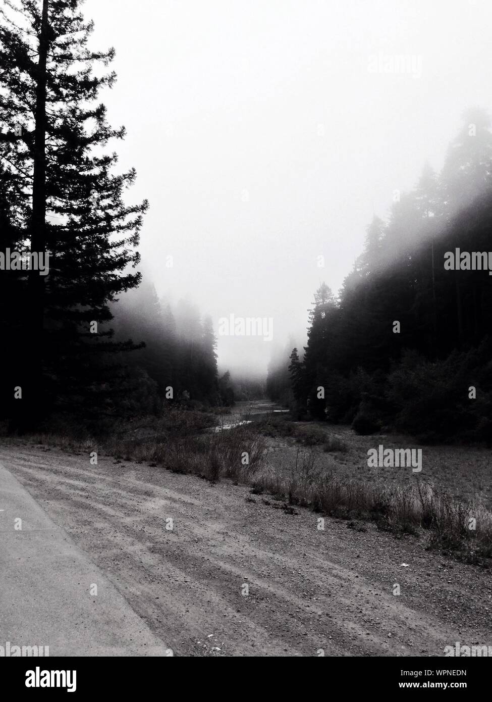 Road edge hi-res stock photography and images - Alamy