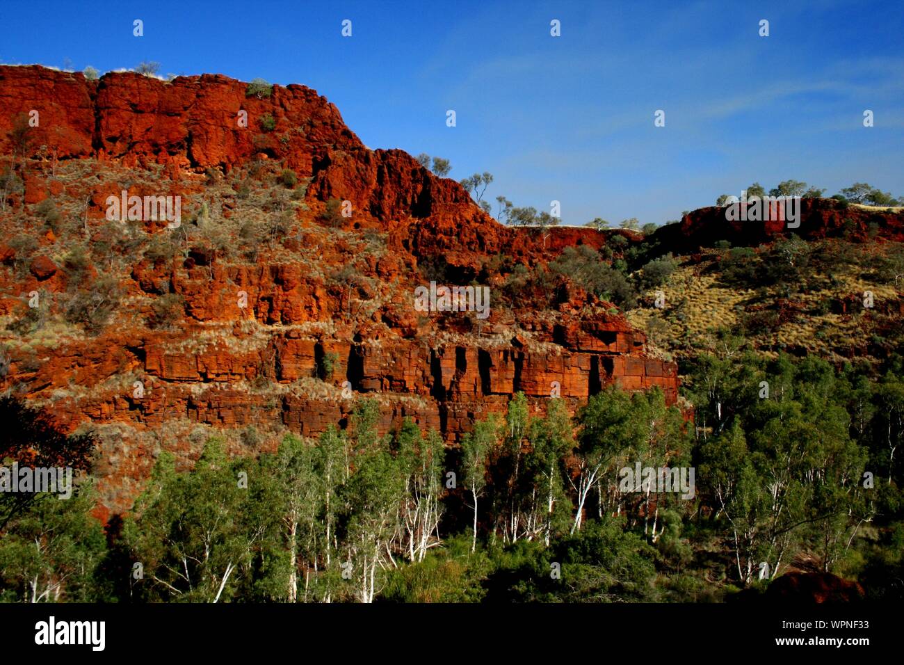 Hiking and swimming in Karijini National-Park, Western Australia with ...
