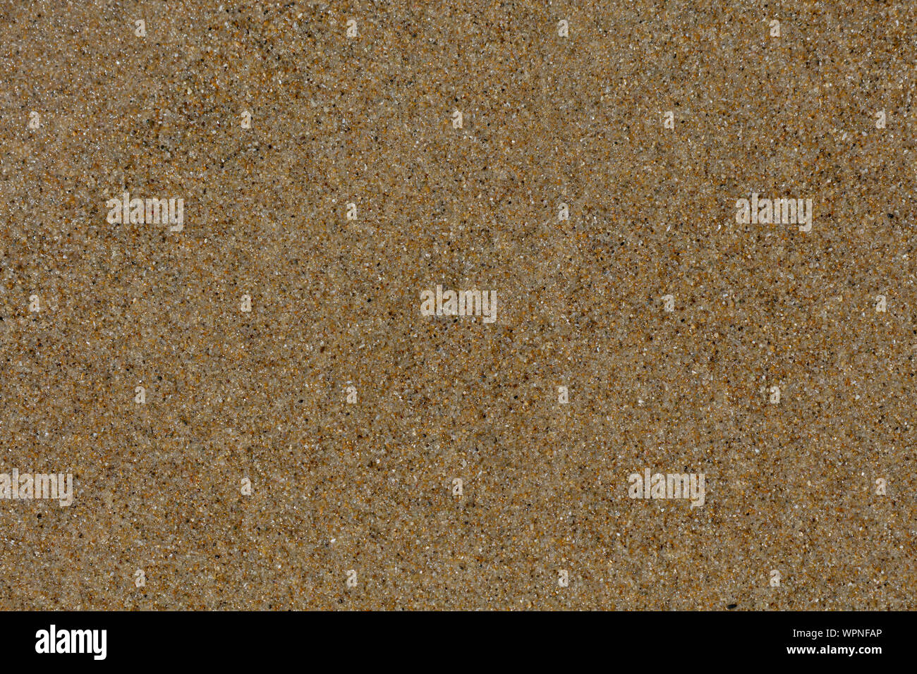 Fine sand beach by the sea Stock Photo - Alamy