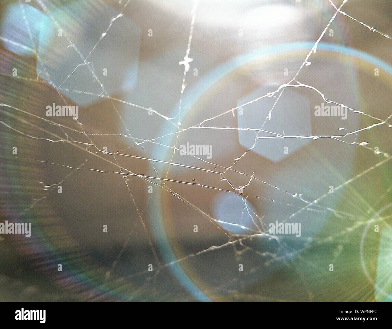 Damaged spider web broken hi-res stock photography and images - Alamy