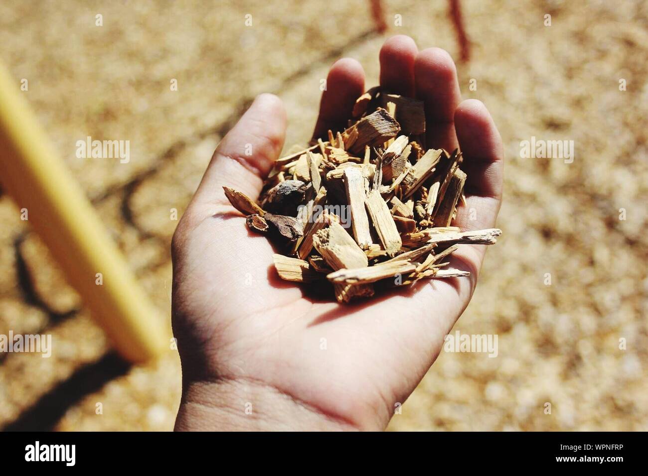 Hand holding chips hi-res stock photography and images - Alamy