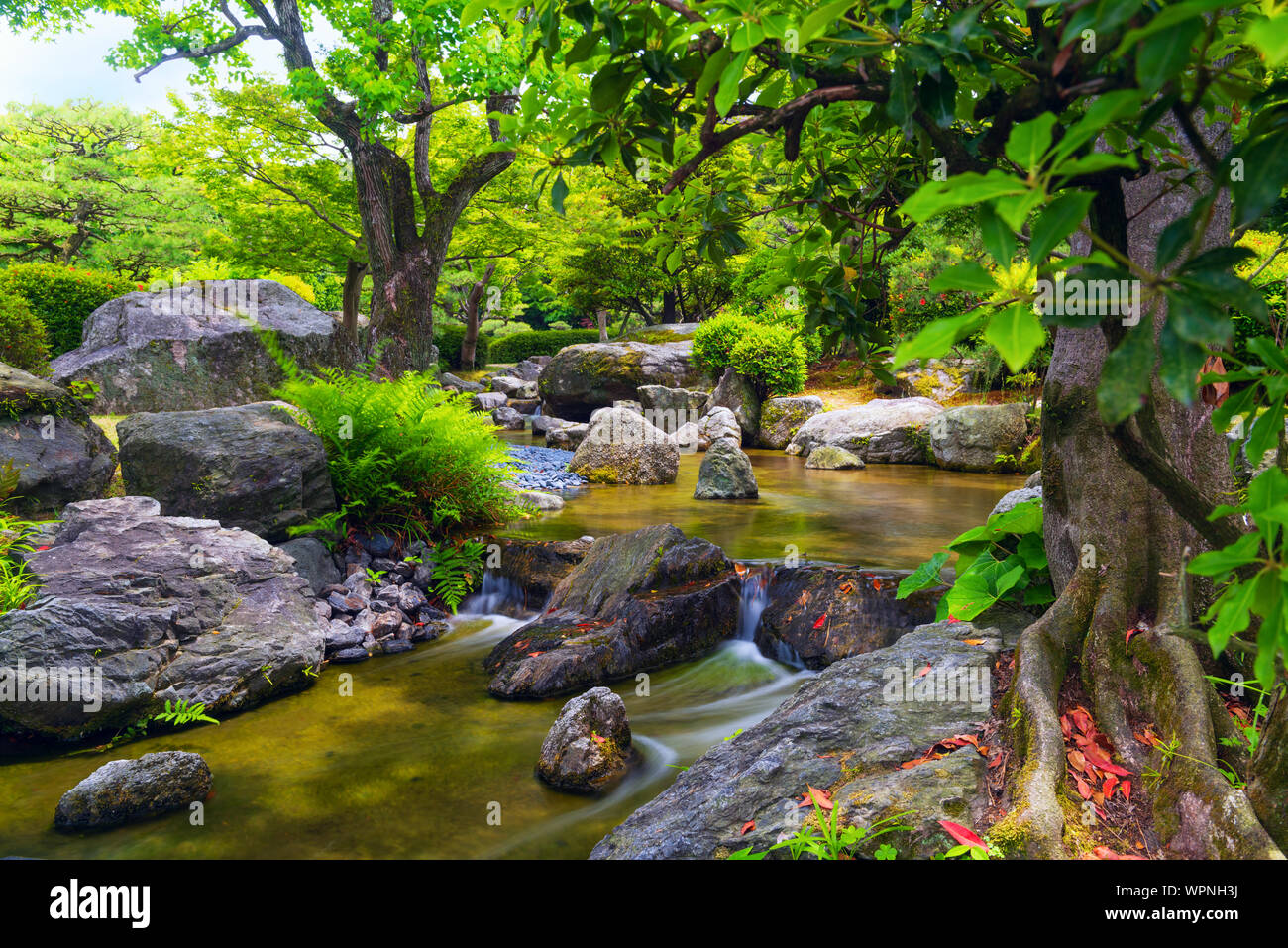 Morning scene in a Japanese garden with water stream, plants and stones ...