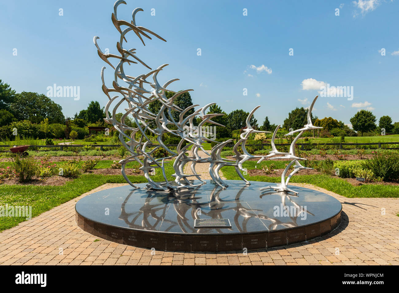 Comair flight 5191 hi-res stock photography and images - Alamy