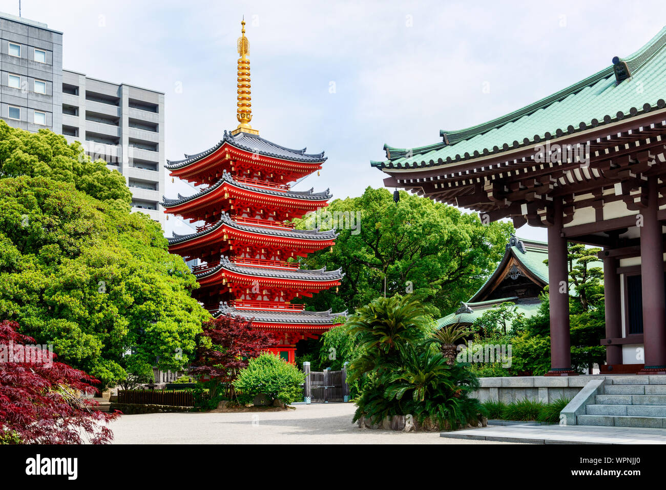 Beautiful Buddhist Tochoji Temple in Fukuoka, Japan, calm morning scene ...