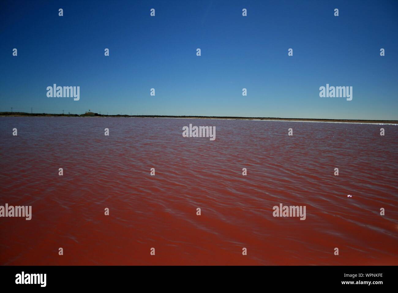 Hutt Lagoon, Pink Lake, Gregory, Kalbarri Area, West Coast, Western ...