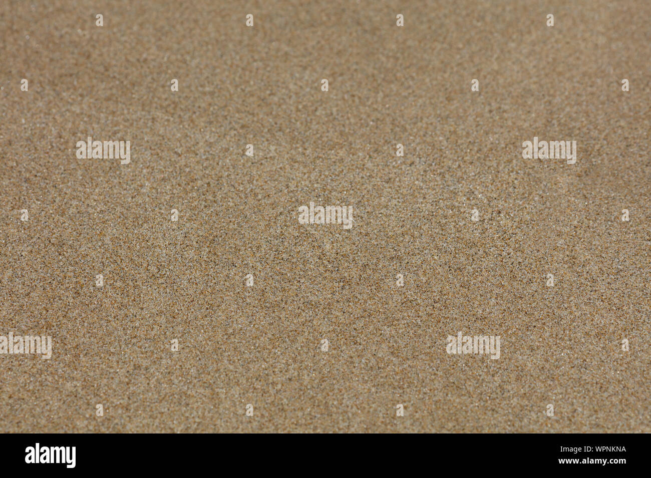 Fine sand beach by the sea Stock Photo - Alamy