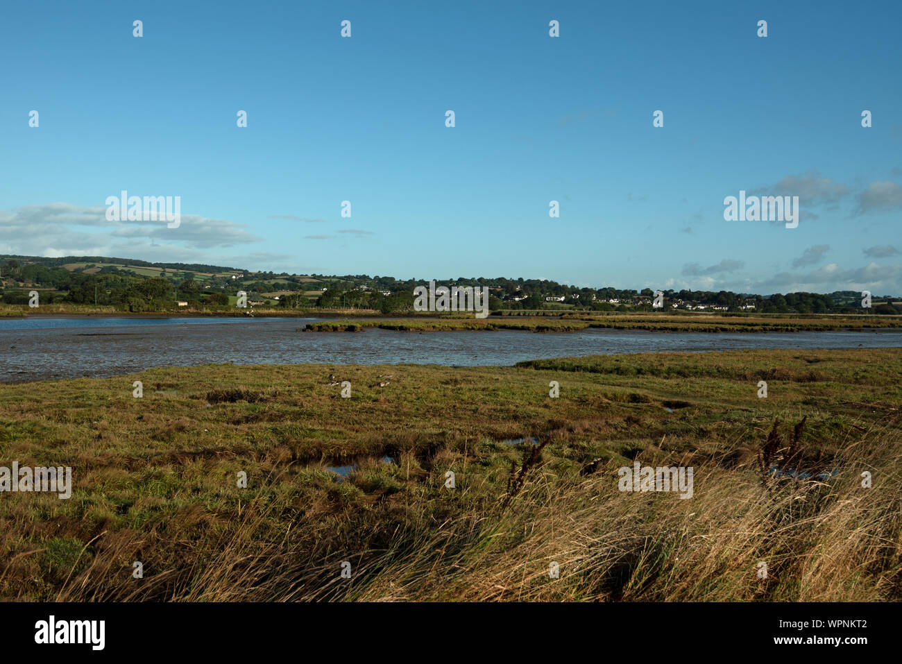 Axe estuary wetlands hi-res stock photography and images - Alamy