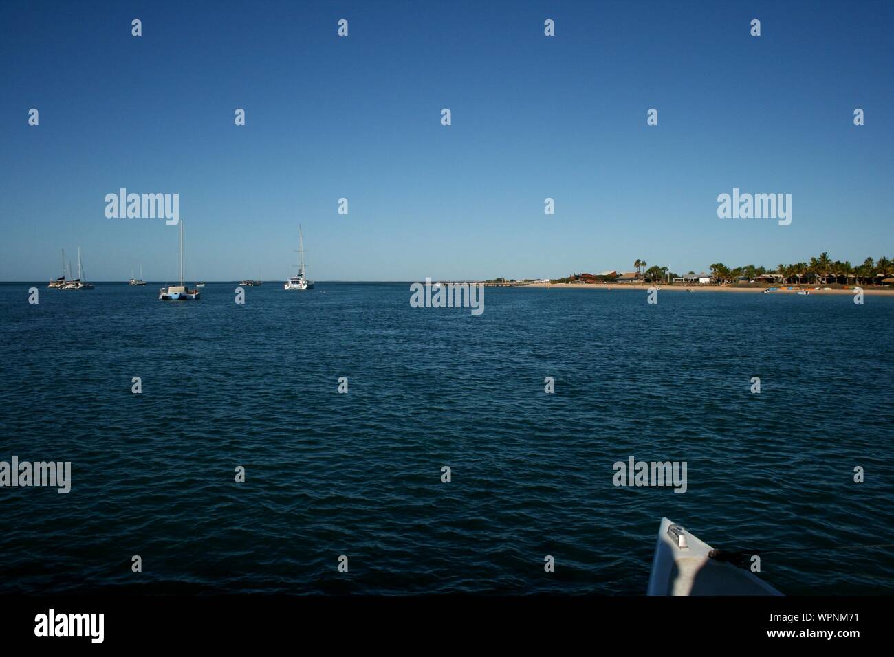 Sailing and Dolphin watching at Shark Bay, Monkey Mia, Western ...