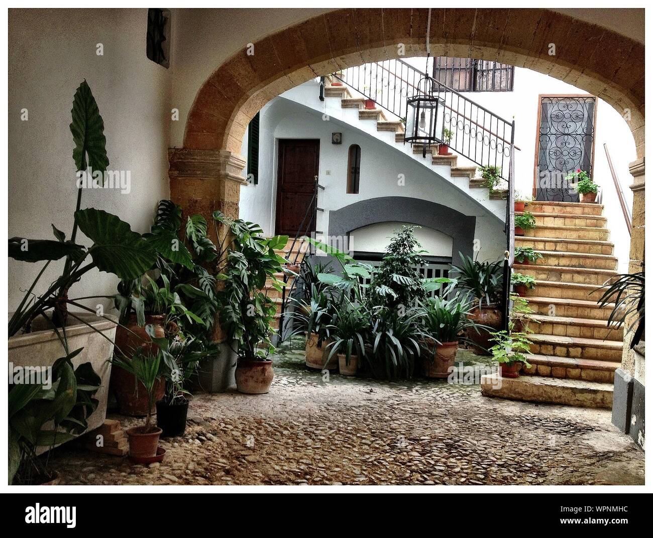 Plants courtyard hi-res stock photography and images - Alamy