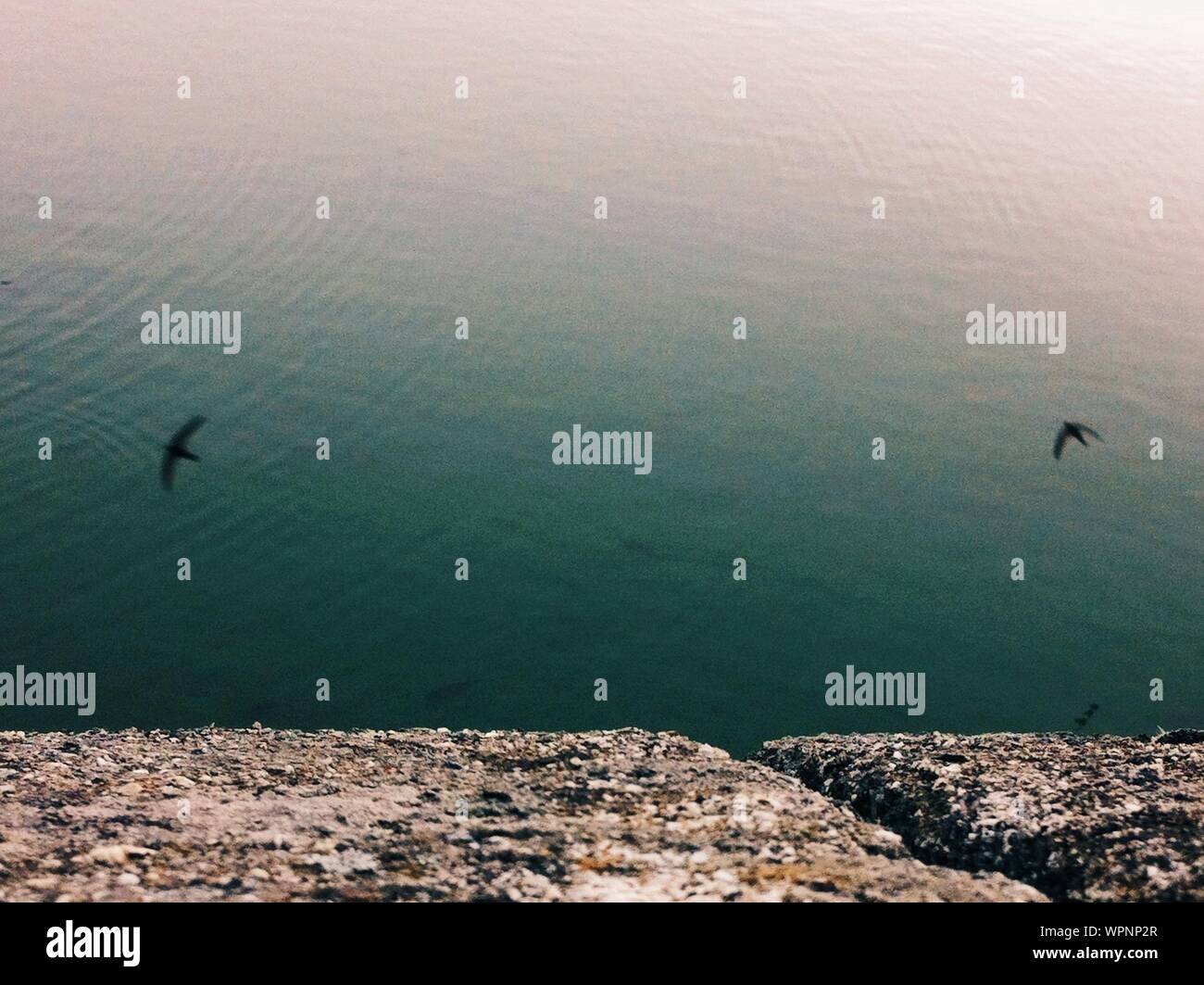 Birds fly by hi-res stock photography and images - Alamy