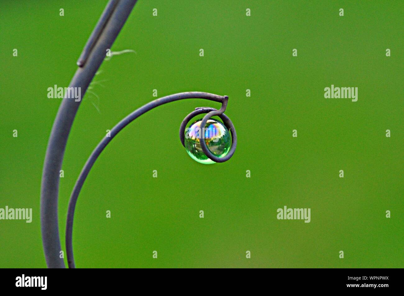 Bubble structure of hi-res stock photography and images - Alamy