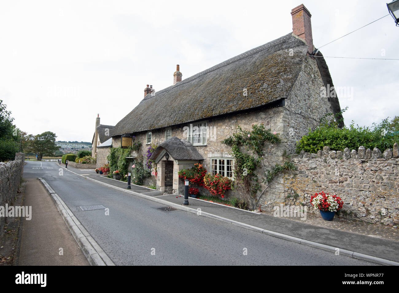 Harbour Inn, Church Street, Axmouth, Devon Stock Photo - Alamy