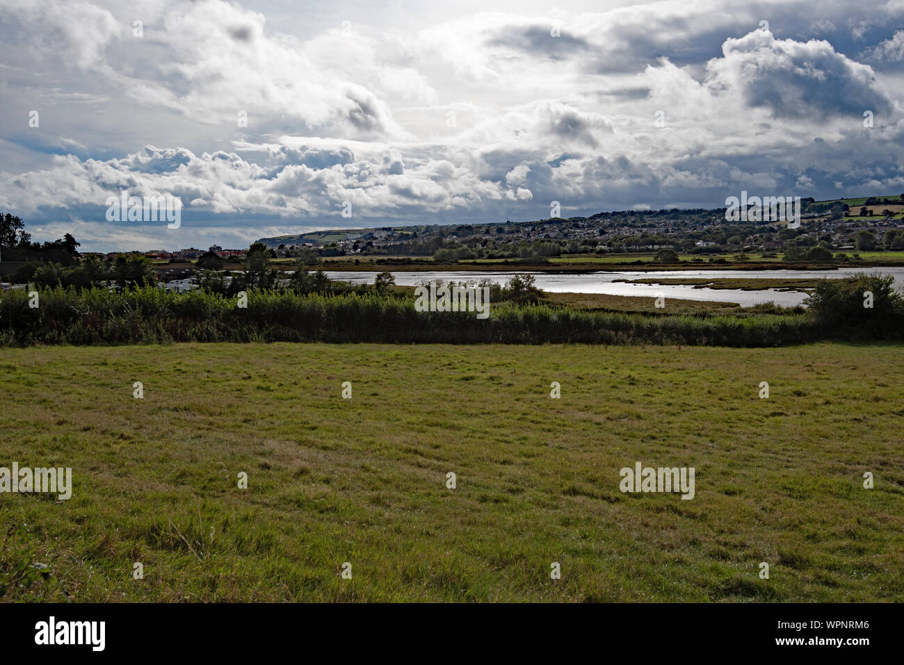 Seaton wildlife reserve hi-res stock photography and images - Alamy