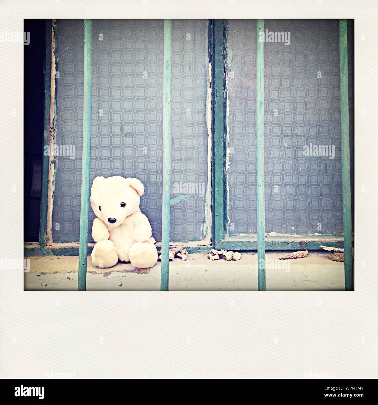 Teddy Bar High Resolution Stock Photography and Images - Alamy