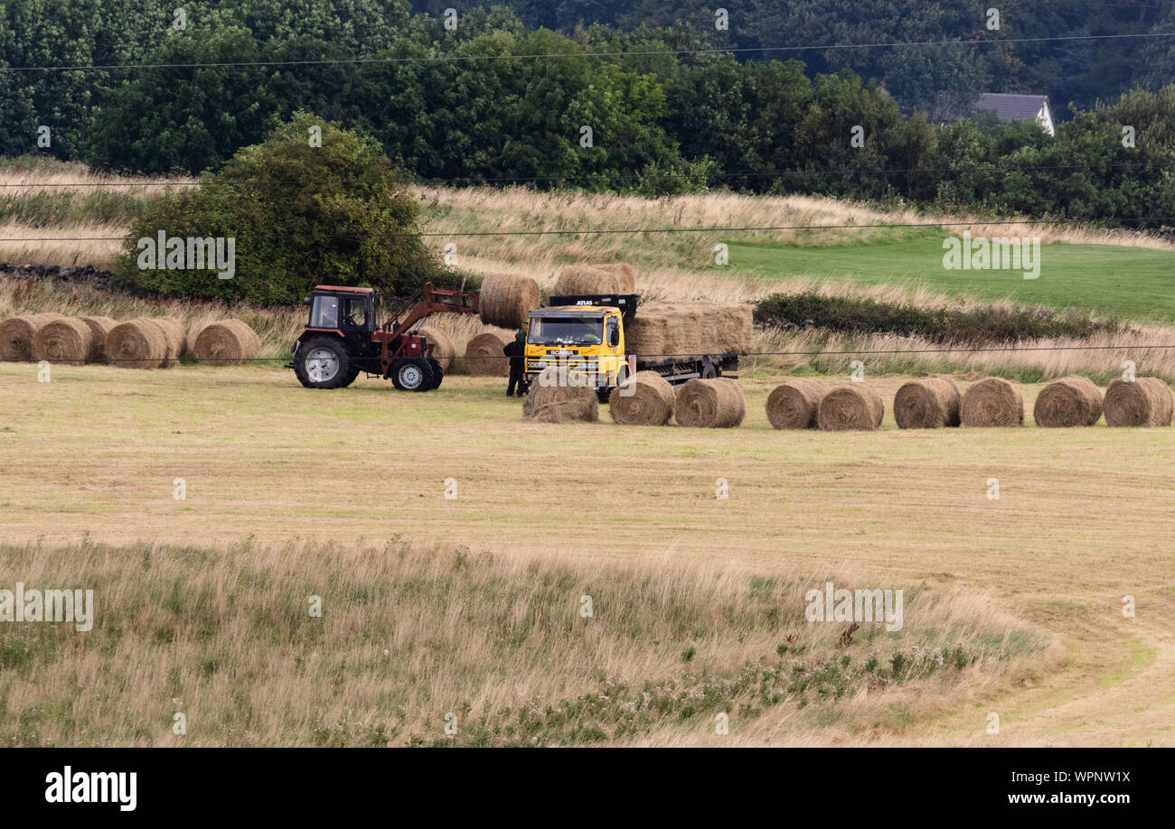 Load of hay bales hi-res stock photography and images - Alamy