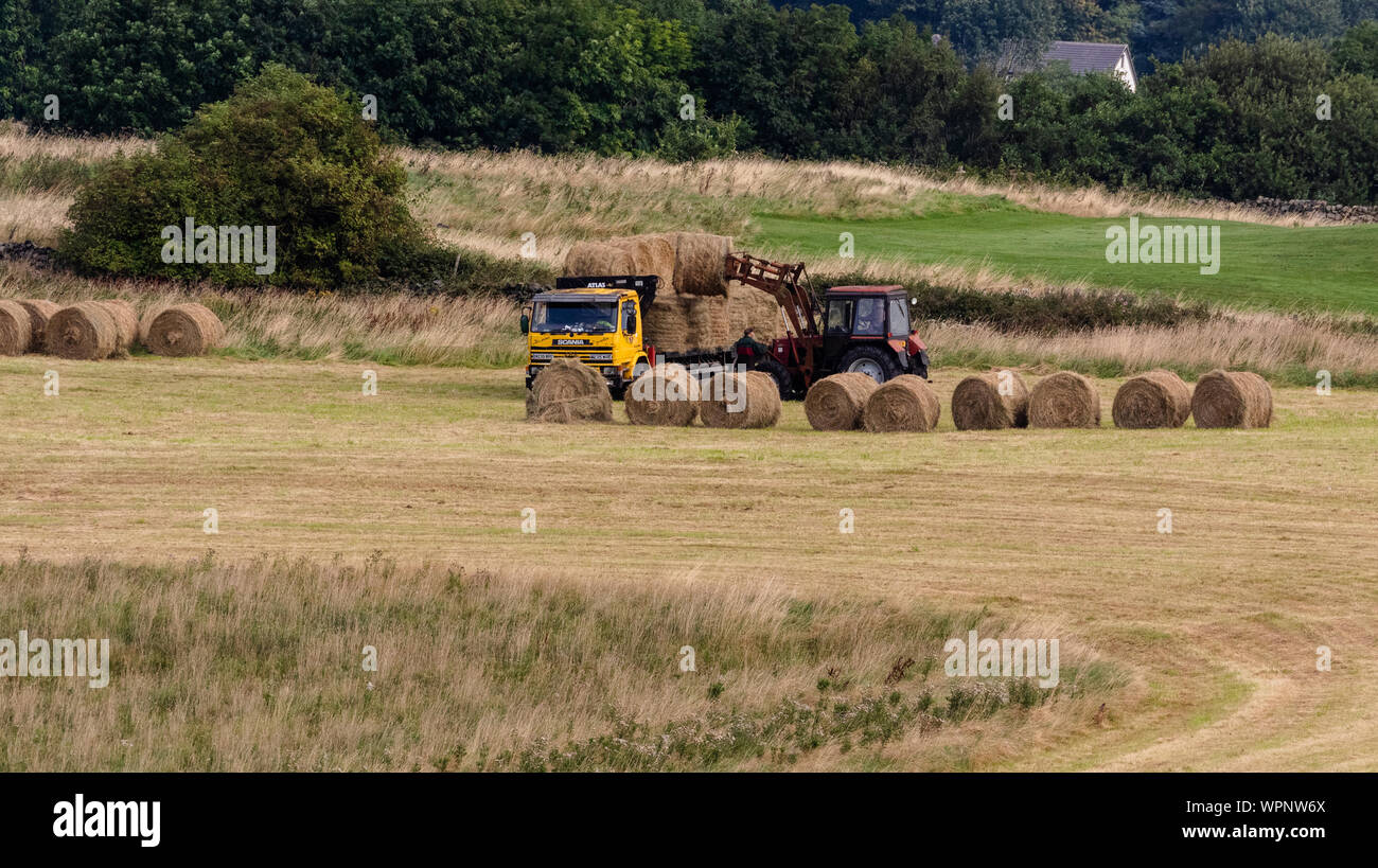 Load of hay bales hi-res stock photography and images - Alamy