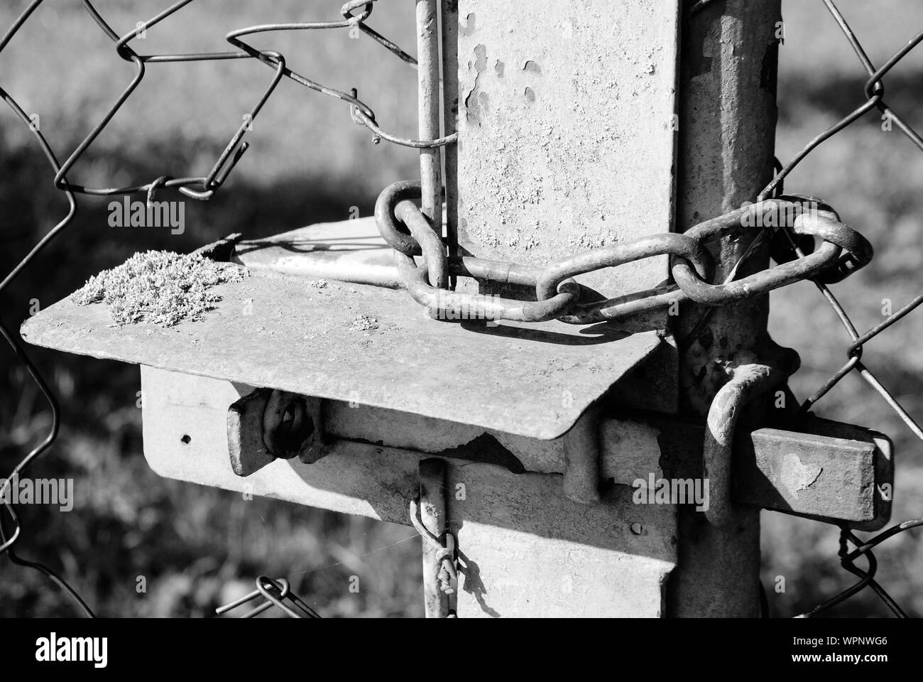 Metal wire tied hi-res stock photography and images - Alamy