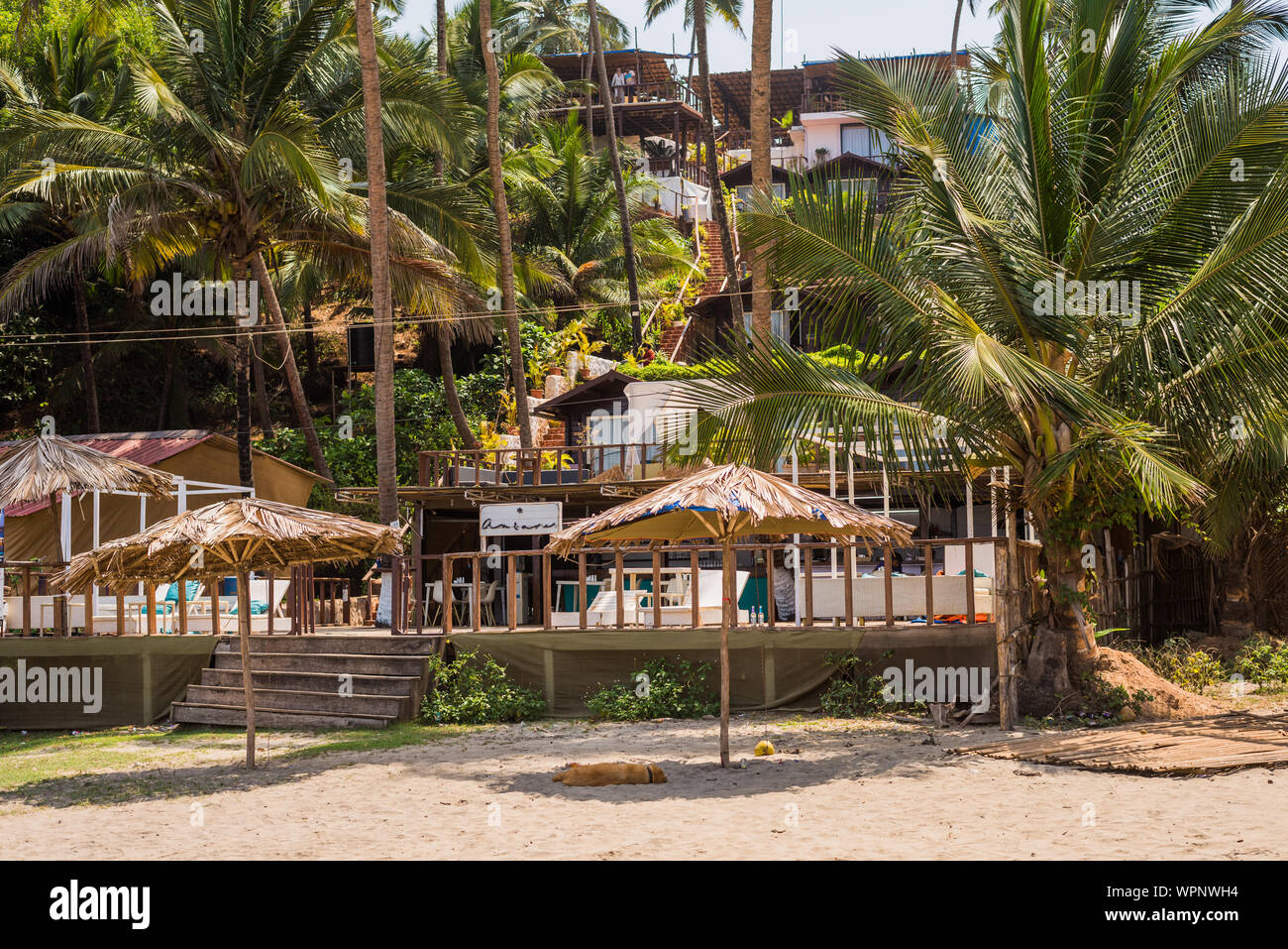 Indian restaurant new york hi-res stock photography and images - Alamy