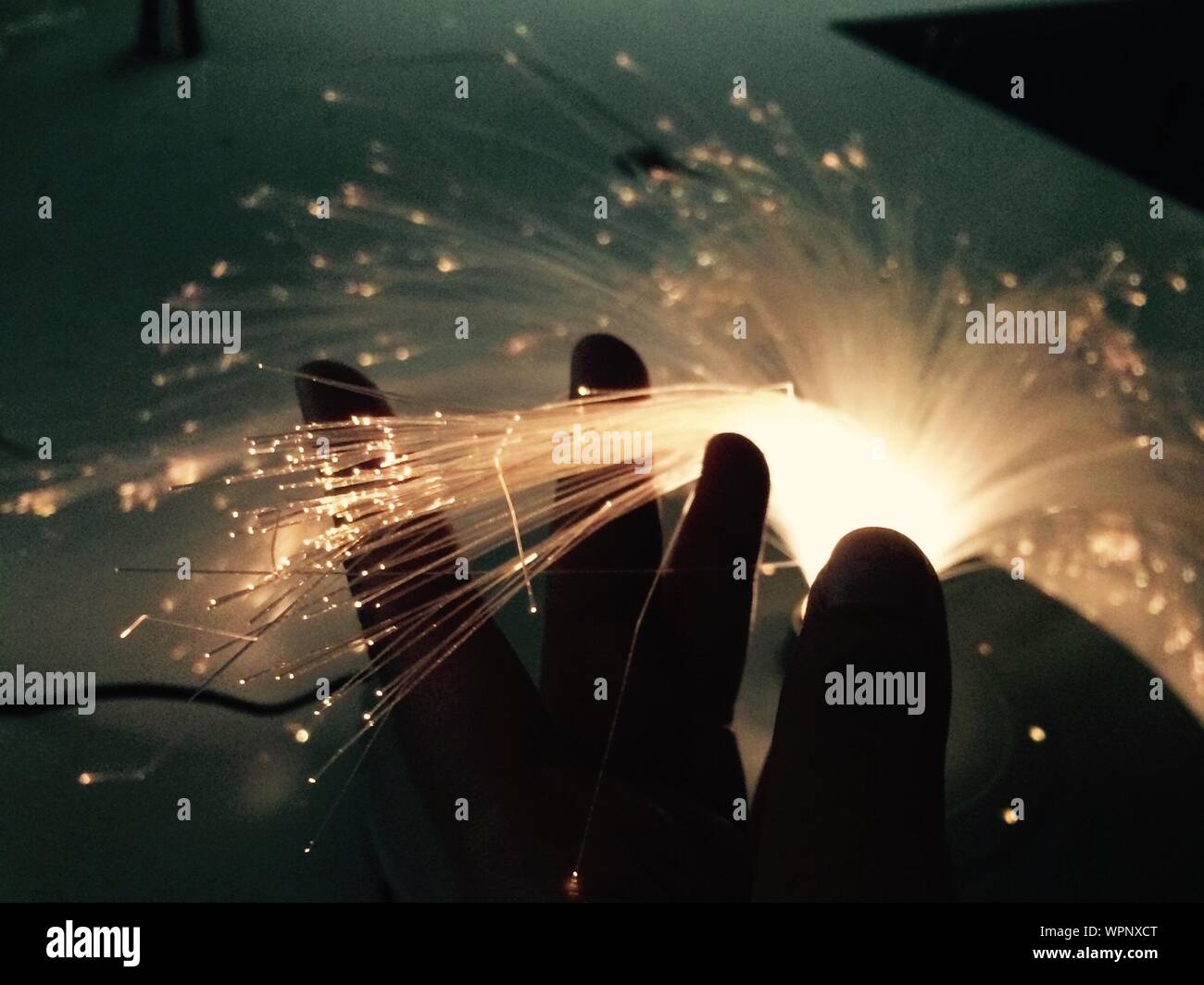 Hand holding with fiber hi-res stock photography and images - Alamy